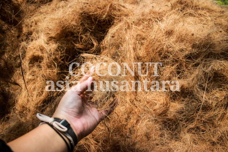 Best Supplier Coconut Products | Indonesia Coconut Oil - Coconut Asia ...